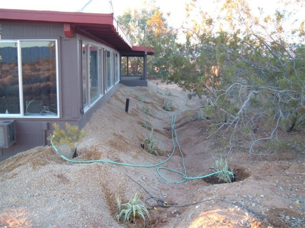 Dingo | Locations Unlimited Inc.