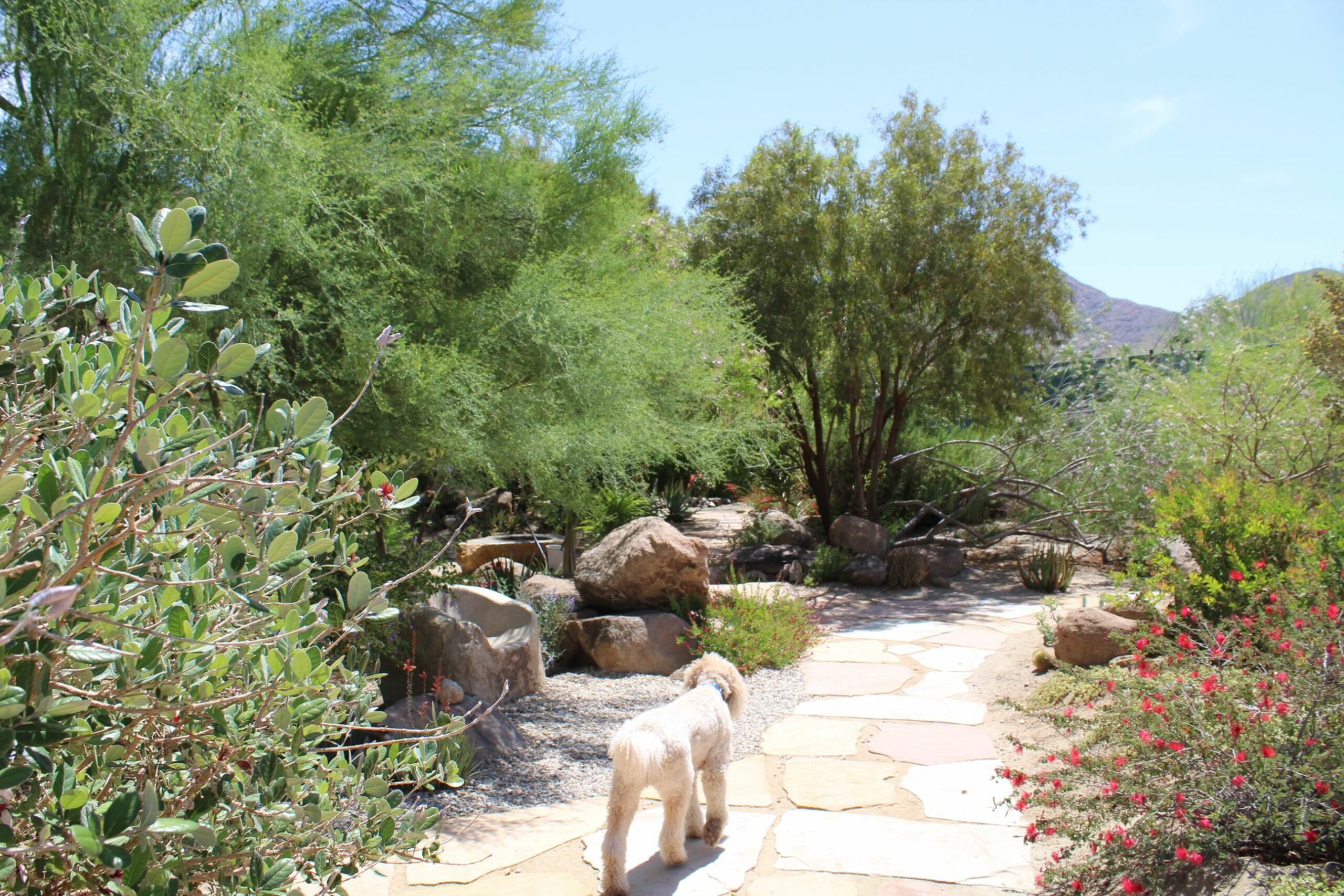 Botanical Wonder – Locations Unlimited Inc.